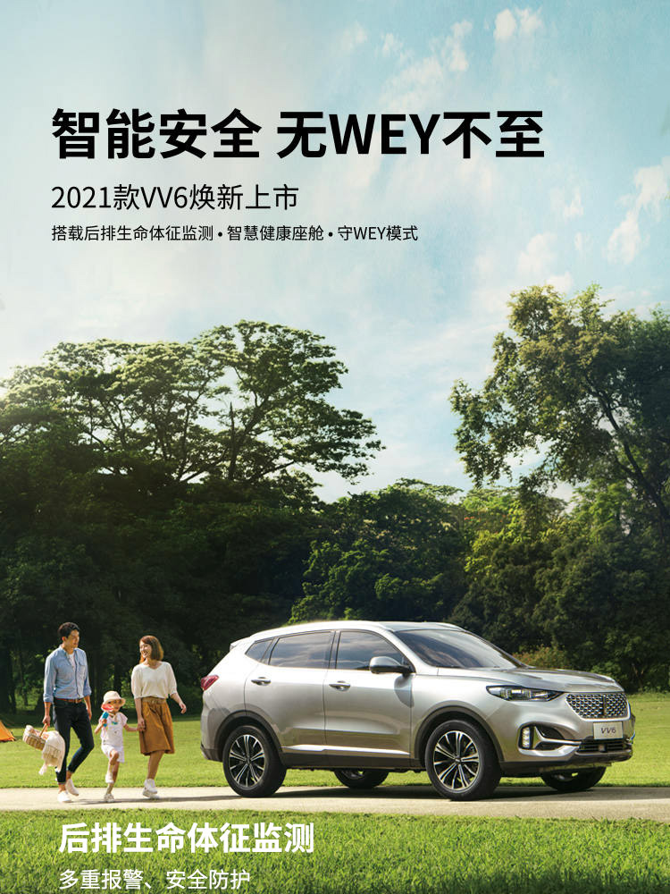 【WEY魏派 SUV】【订金】WEY VV6 新车整车 SUV 订金【正品 价格 图片】 - 寺库网